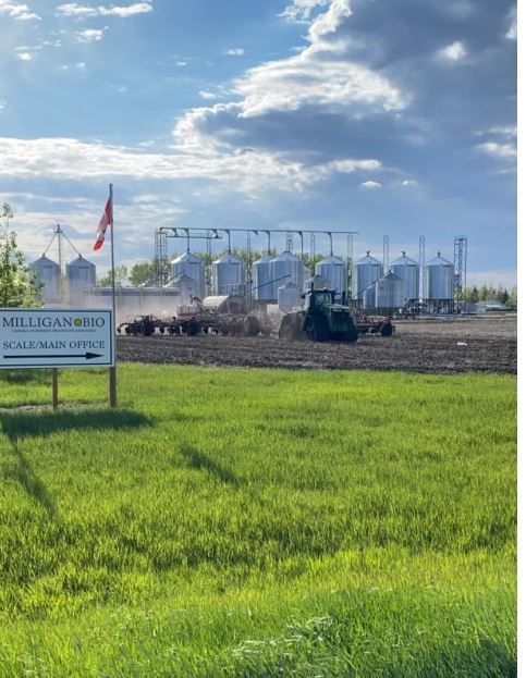 Canola Purchasing – Milligan Bio
